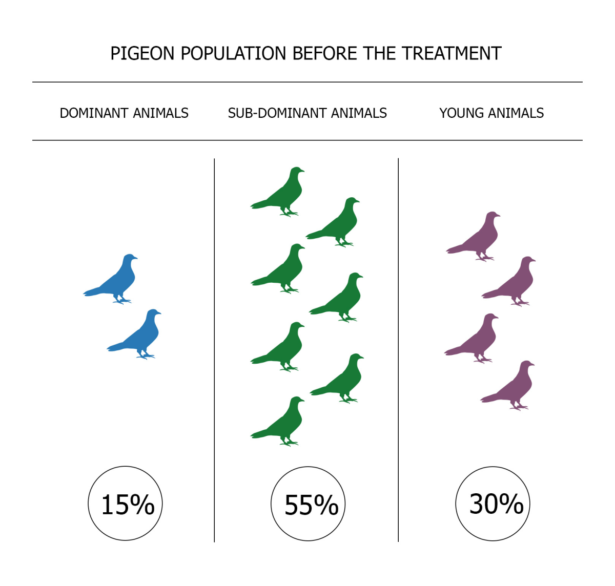 Vets For City Pigeons - Approach